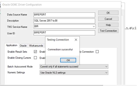 internal error unable to initialize nls during driver load — oracle tech