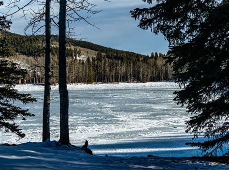 Snow Covered Lake Sibbald Lake Provincial Recreation Area Alberta