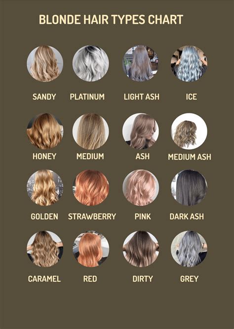 Blonde Hair Types Chart In Pdf Illustrator Download
