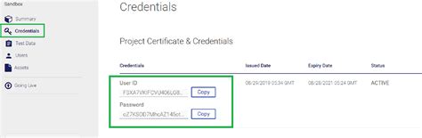 solved the remote server returned an error 400 bad req visa