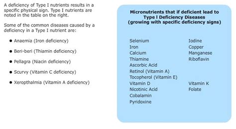 Classification Of Nutrients Type I Type Ii And Macro Micro