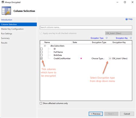 sql server always encrypted feature guide starwind blog