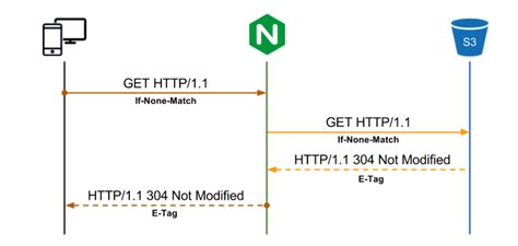 caddy reverse proxy docker compose