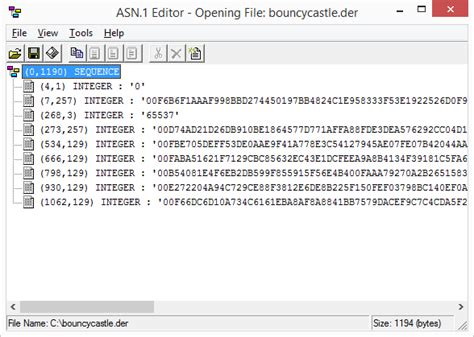 print private key java