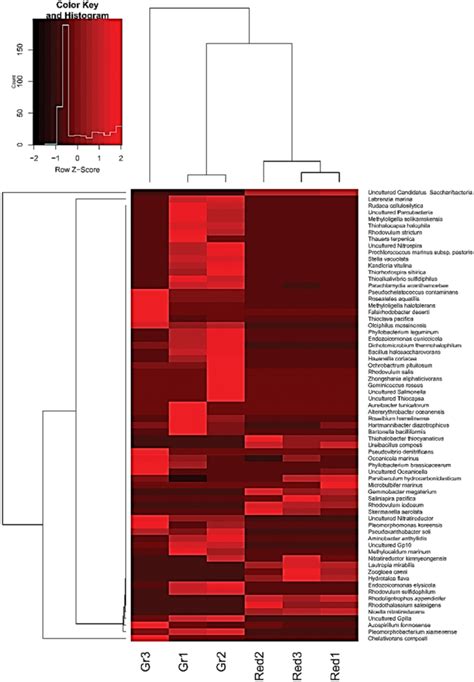 diversity of a bacterial community associated with cliona lobata