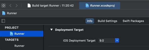 directory flutter where is ios deployment target inside project