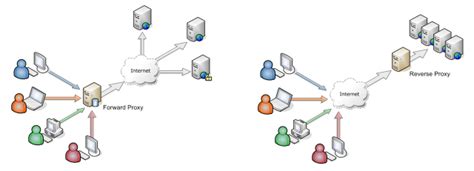technical blog reverse proxy server vs forward proxy server