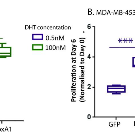 Foxa1 Over Expression Increases Dht Stimulated Growth In Ar Driven