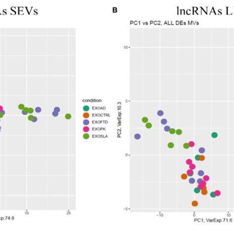 Pca Of Long Non Coding Genes Differentially Expressed In Sevs A And