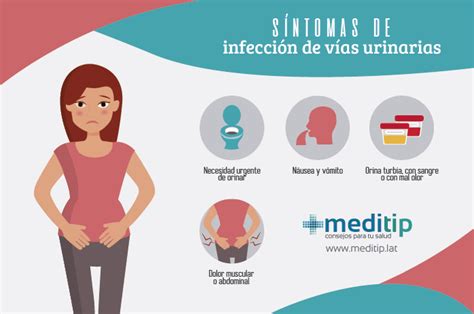 Infección De Vías Urinarias Causas Diagnóstico Y Tratamiento Meditip