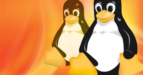 debian 8 alias jessie veröffentlicht com professional
