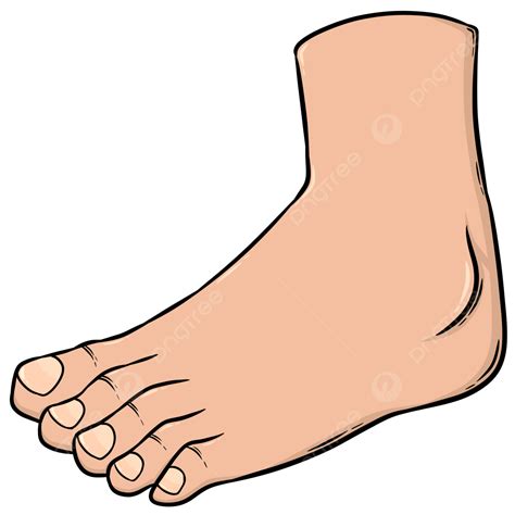 Kaki Kartun Kaki Kaki Manusia Clip Art Kaki Png Transparan Clipart