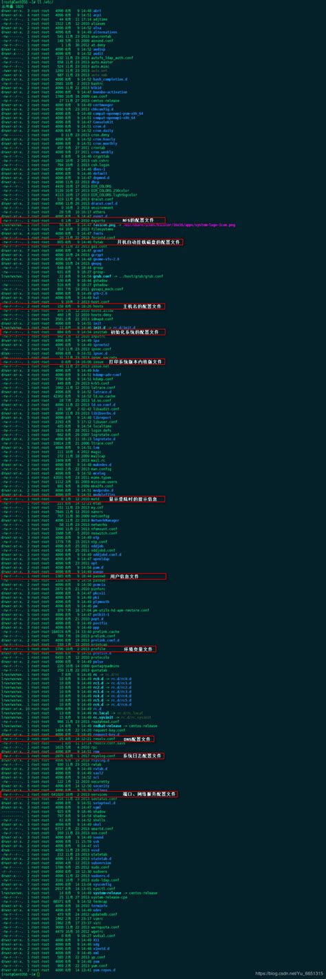 linux usr、 usr share、 etc介绍 csdn博客