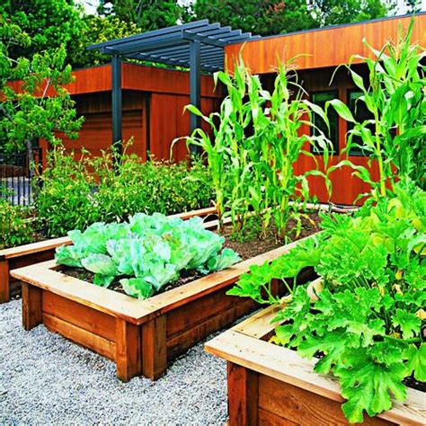 How To Build Raised Vegetable Garden Boxes Learn How To