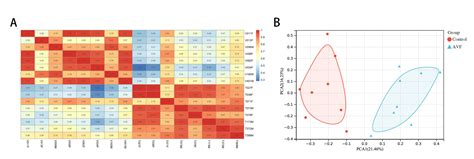 Jcdd Free Full Text Sex Differences In Arteriovenous Fistula