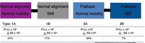 Functional Component Positioning In Total Hip Arthroplasty And The Role