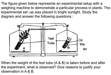 The Figure Given Below Represents An Experimental Set Up With A We