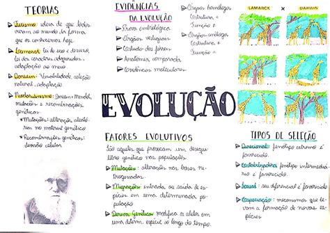 best mapa mental de charles darwin png mapa mentos images