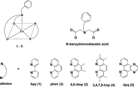 Scheme 1 Schematic Representation Of Copper Ii Complexes 1 5 And The
