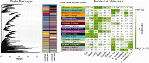 gene expression modules constructed by wgcna on the le open i
