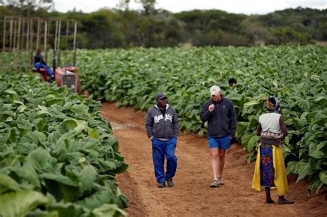 Zimbabwe To Pay White Farmers 3 5bn In Land Compensation Deal