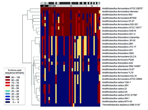 Heatmap Of Amino Acid Sequence Similarity Values For Predicted