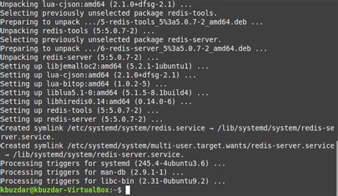 install redis on ubuntu 20 04 linux every day