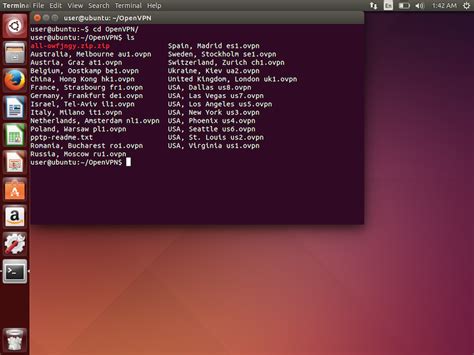 setup openvpn connection on linux securevpn
