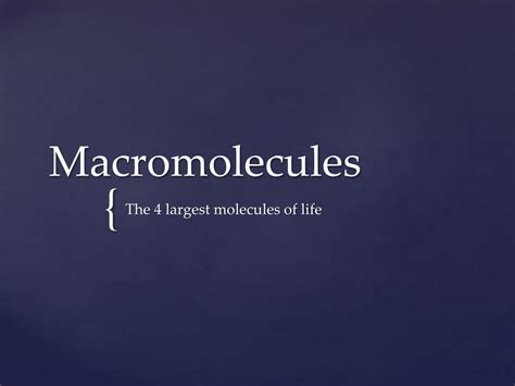 Ppt Macromolecules Powerpoint Presentation Free Download Id 2436559