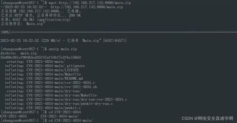 linux下polkit 权限提升漏洞复现（cve 2021 4034） csdn博客