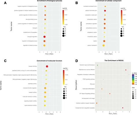 Differential Gene Function Enrichment Bubble Chart Differential Gene