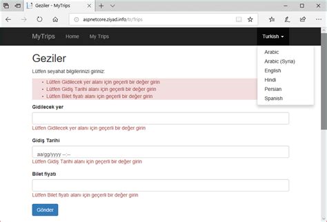 developing multicultural web application