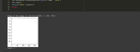 visualze the dataset images pytorch forums