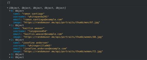 using data in react with the fetch api and axios webmasters gallery