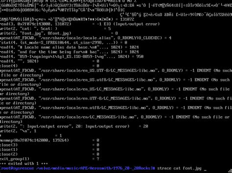 silent corruption gives input output error but cannot be detected with