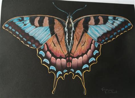 Swallowtail Butterfly By Francien Schrijnewerkers