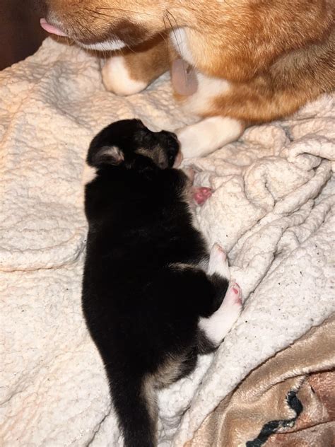 My Girls An There Very Cute Cuddles Judith Is Getting Bigs Shes The