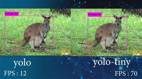 yolo v3 vs yolo tiny v3 realtime custom object detection with darknet