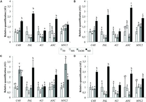 Frontiers Selection And Validation Of Reference Genes For