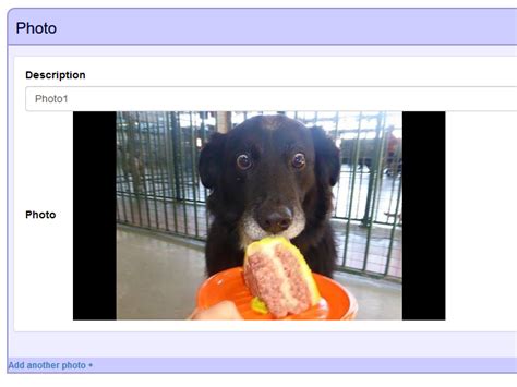 html how to display base64 image in angularjs itecnote