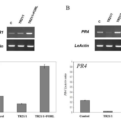 Expression Of Defense Related Genes In Sar And Isr Expressing Roots Of