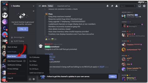 how to disable discord notifications