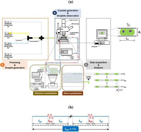 A Schematic Representation Of The Experimental Setup A Injection