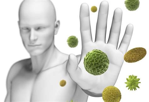 Cómo Reforzar El Sistema Inmunológico De Manera Natural Fitoterapia