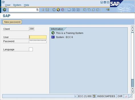 introduction to sap sap security pages