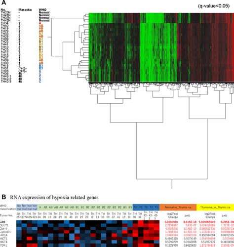 a hierarchical cluster analysis of 9 200 genes