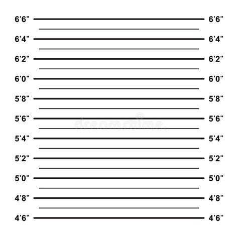 Mugshot Police Lineup Background Vector In Clipart Style Stock Vector