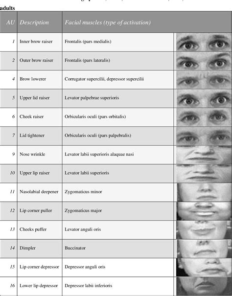emotions semantic scholar