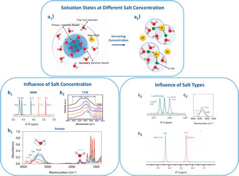 Schematic Illustration Of Solvation Structures Of Li In A 1