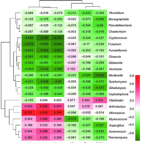 Spearmans Correlation Heatmap Based On Population Abundance And